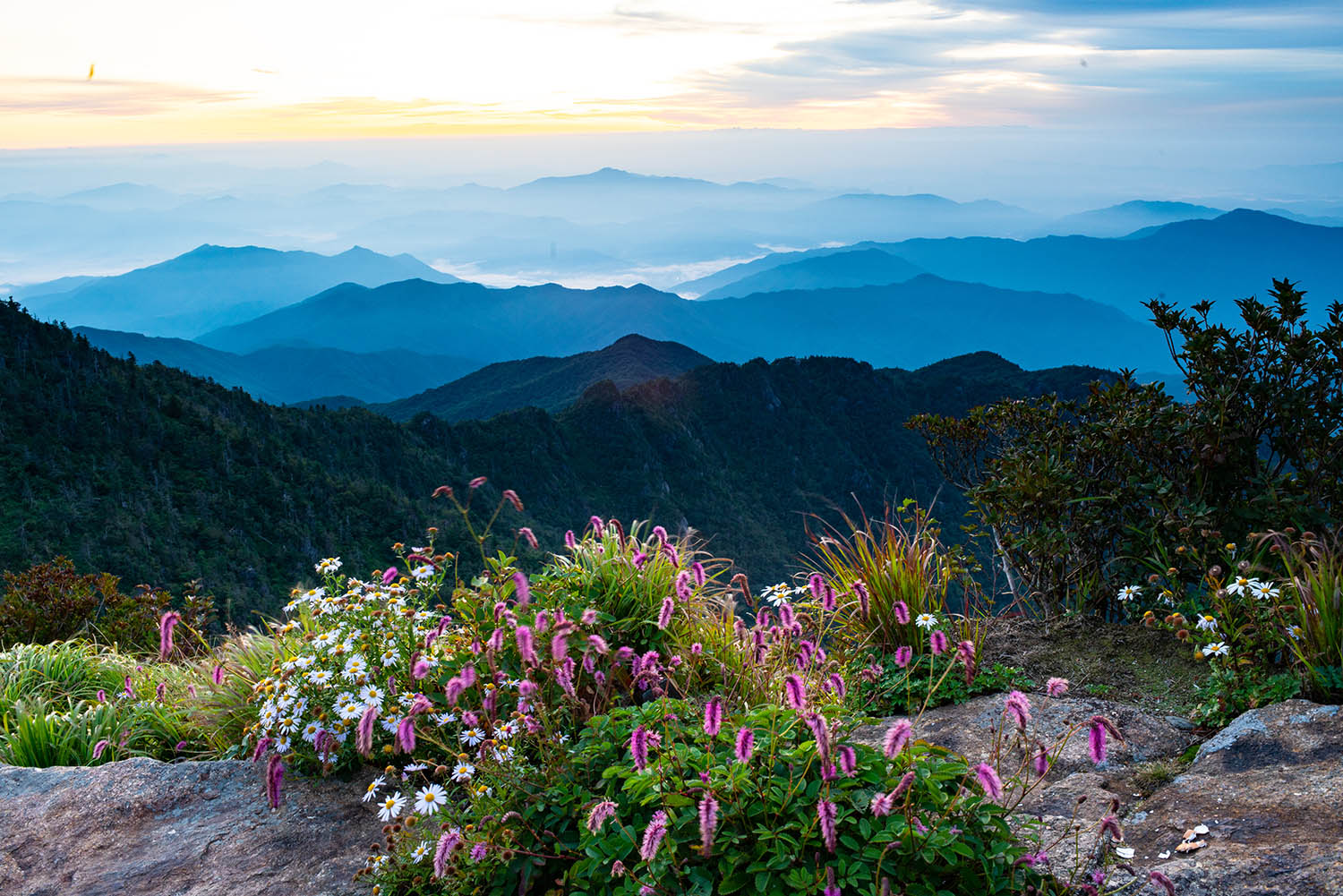 지리산 - 지리산의 여름3(천왕봉)