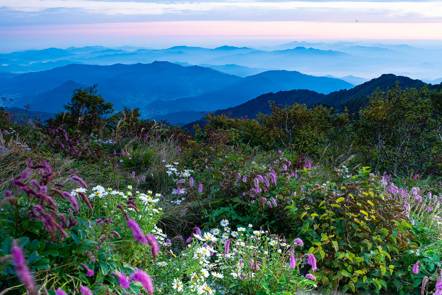 지리산 - 지리산의 여름3(천왕봉)